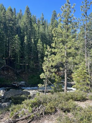 BASSI FALLS - Updated March 2025 - 227 Photos & 36 Reviews - El Dorado ...