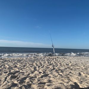 FIELD 6 JONES BEACH - 375 Photos & 35 Reviews - 1 Ocean Pkwy, Wantagh ...