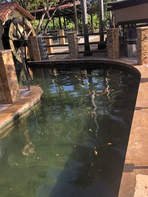 DUNI’S FARM - Updated May 2026 - 17 Photos - 15885 SW 246th St ...
