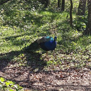 MAYFIELD PARK - Updated January 2025 - 722 Photos & 222 Reviews - 3505 ...