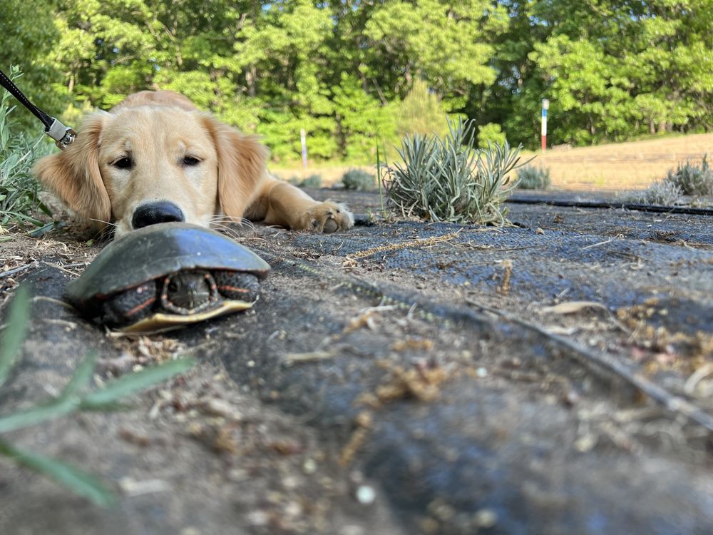 GREAT LAKES LAVENDER FARM - Request Information - 19 Photos - 11988 ...
