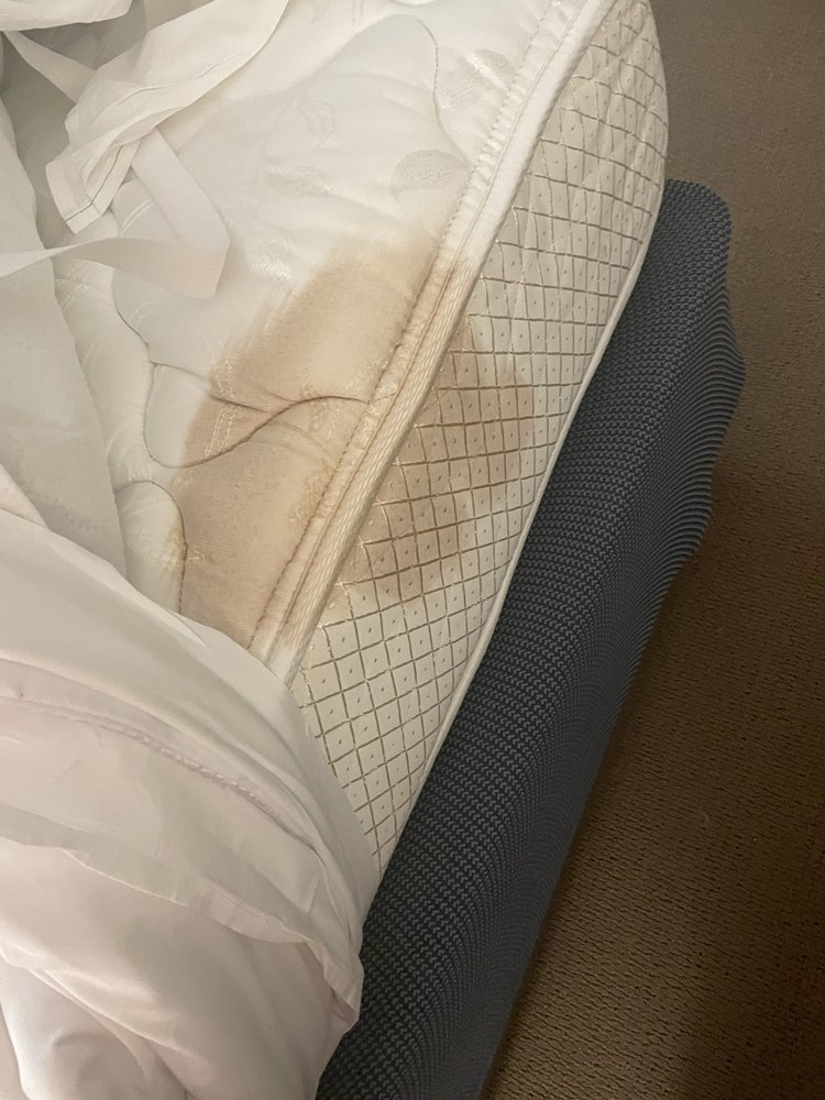 THE PENN STATER HOTEL AND CONFERENCE CENTER - Updated September 2024 ...