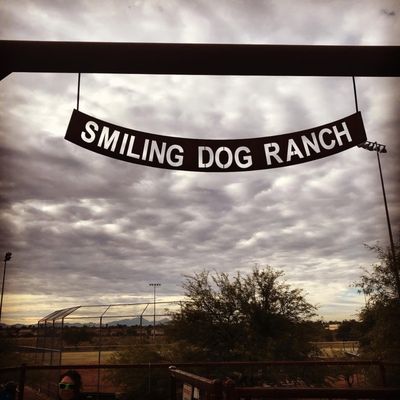 SMILING DOG RANCH AT GEORGE MEHL FAMILY PARK - Updated March 2025 - 27 ...