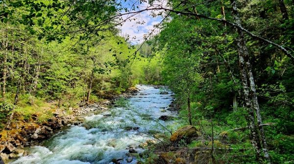 MIDDLE FORK CAMPGROUND - Updated July 2025 - 30 Photos & 11 Reviews ...