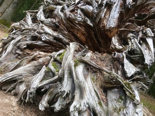 WINDING TRAILS - Updated January 2026 - 16 Photos - 50 Winding Trl ...