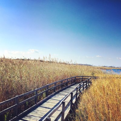 BACK BAY NATIONAL WILDLIFE - 23 Photos - 3022 New Bridge Rd, Virginia ...