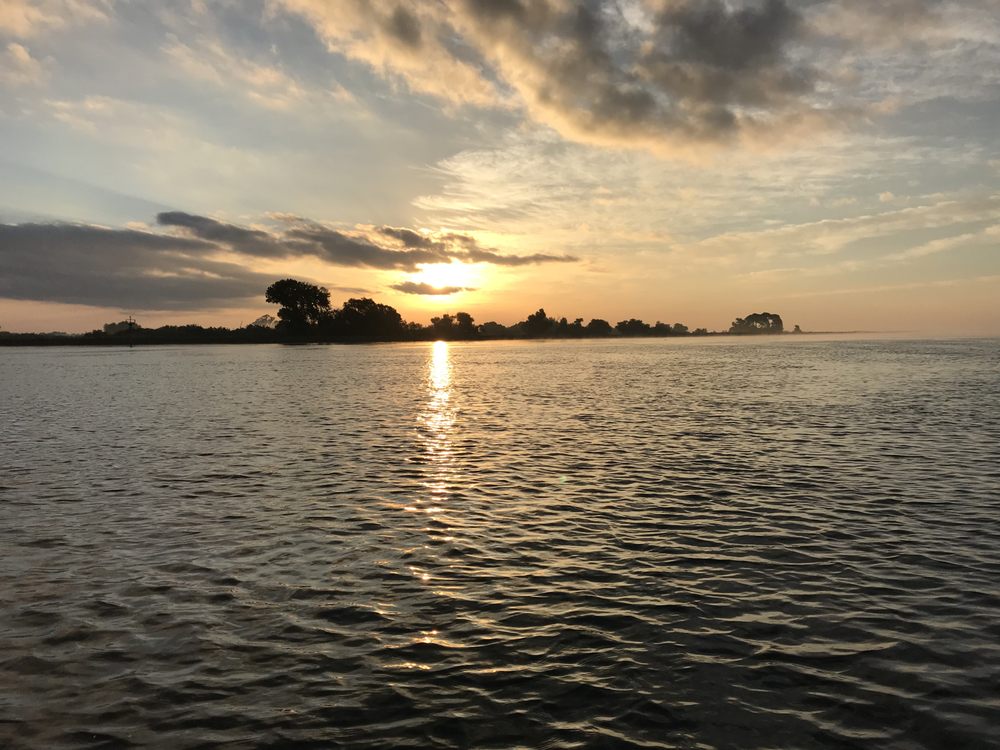 BERTOLOTTI DISPOSAL - Updated December 2024 - 10 Photos & 46 Reviews ...