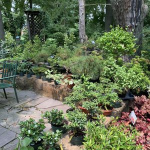 RIGHTWAY GARDEN CENTER - 28 Photos - Landscaping - 5529 N Bend Rd ...