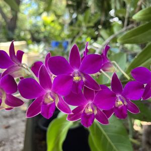 THE BUSHEL STOP - 155 Photos & 45 Reviews - 8596 W Atlantic Ave, Delray ...