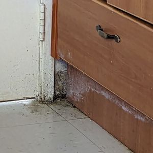 DEL ROSA VILLA - Updated November 2025 - 66 Photos & 38 Reviews - 2018 ...