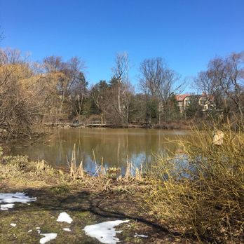 HALL’S POND SANCTUARY - Updated December 2025 - Between Amory St And ...