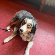 68 JAY ST BAR - 41 Photos & 100 Reviews - 68 Jay St, Brooklyn, New York ...