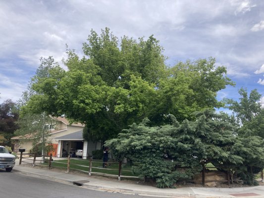 BEAR MOUNTAIN ARBORIST - Updated January 2026 - 162 Photos & 25 Reviews ...