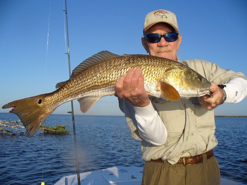 CAPTAIN JERRY GILLESPIE CHARTERS - 6010 George Rd, Punta Gorda, Florida ...