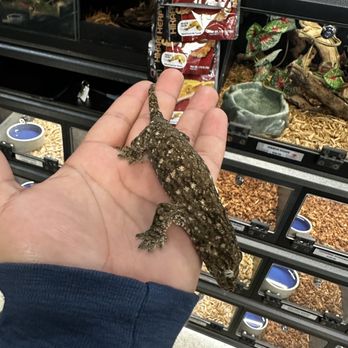 PREDATOR’S REPTILE CENTER - Updated February 2025 - 73 Photos & 133 ...