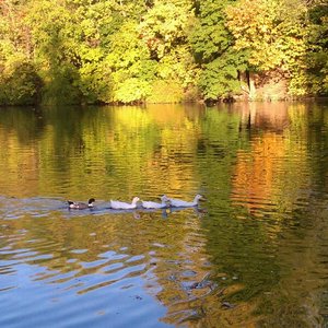 PENDLETON FALLS PARK - 90 Photos & 11 Reviews - 299 Falls Park Dr, Pendleton, IN - Yelp