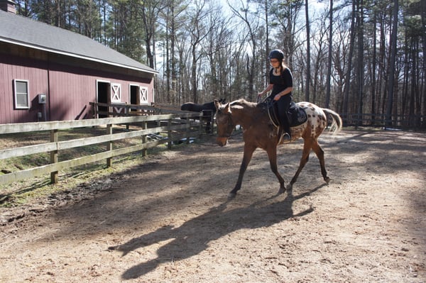 RIDE THE SKY STABLES - 23 Photos - 1804 Cross Country Ln, Apex, NC - Yelp