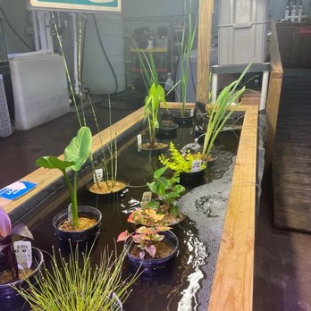 THAT FISH PLACE - THAT PET PLACE - Updated December 2025 - 149 Photos ...