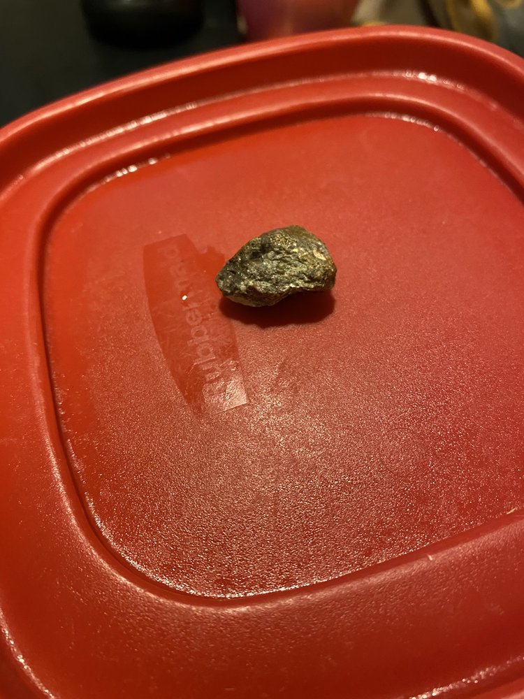 THE PLEASANT CAFE - 75 Photos & 213 Reviews - 4515 Washington St ...