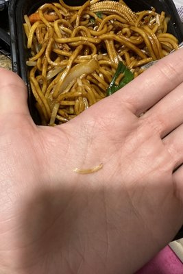 BURLINGTON JADE - Updated December 2025 - 41 Photos & 107 Reviews - 271 ...