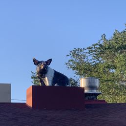 THE SPARE RIB BBQ - Updated July 2025 - 37 Photos & 77 Reviews - 1700 E ...