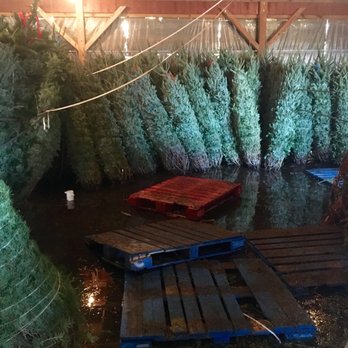 KINSEY FAMILY FARM - Updated December 2025 - 42 Photos & 50 Reviews ...