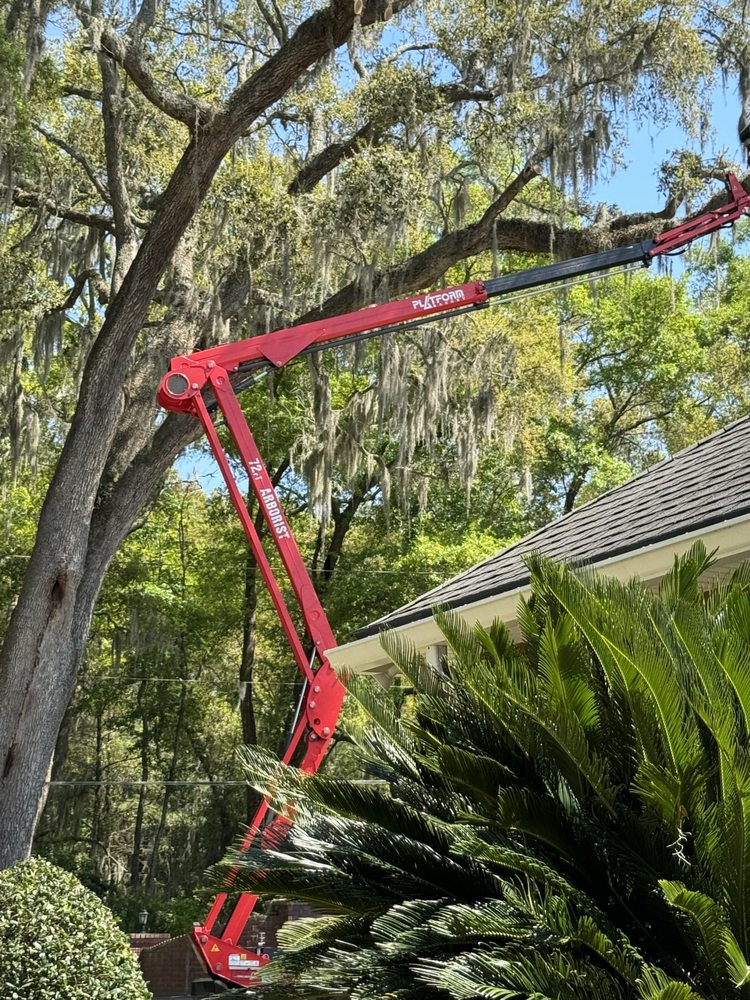 SANFORD TREE SERVICE - Updated December 2025 - 4930 Spring Park Rd ...