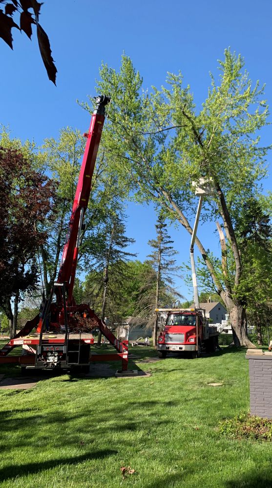 BUSY BEAVERS TREE SERVICE & MORE - Updated May 2025 - Johnsburg ...