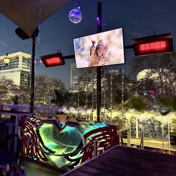 DARLING AVIARY - Updated May 2025 - 875 Photos & 700 Reviews - 712 K St ...