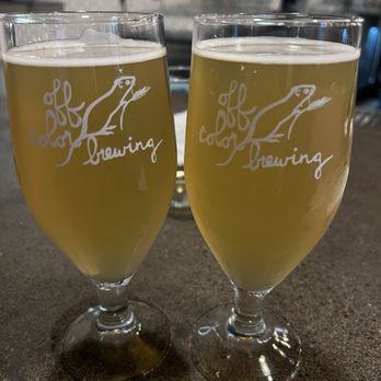 OFF COLOR BREWING - MOUSETRAP - Updated May 2025 - 329 Photos & 212 ...