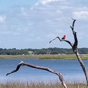 PINCKNEY ISLAND NATIONAL WILDLIFE REFUGE - Updated January 2026 - 210 ...
