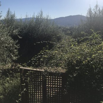 RUTHERFORD HILL WINERY - Updated April 2024 - 482 Photos & 419 Reviews ...