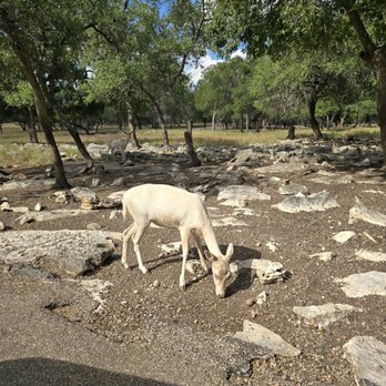 NATURAL BRIDGE WILDLIFE RANCH - Updated January 2026 - 1810 Photos ...