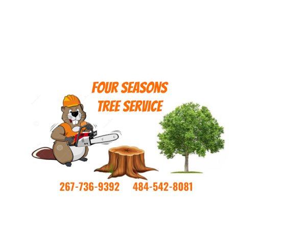 FOUR SEASONS TREE SERVICE - Updated December 2025 - 14 Photos ...