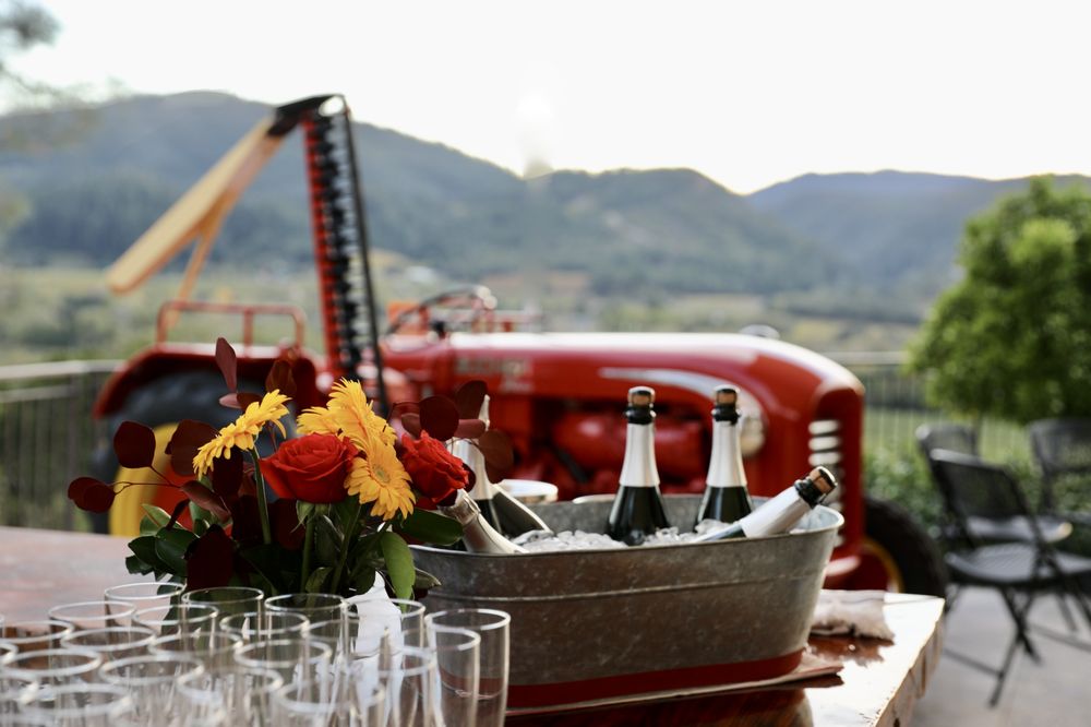 TRATTORE FARMS AND WINERY - Updated May 2024 - 415 Photos & 89 Reviews ...