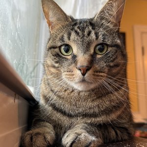 RYAN VETERINARY HOSPITAL - Updated December 2025 - 17 Photos & 198 ...