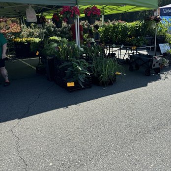 DALE CITY FARMERS MARKET - Updated August 2025 - 95 Photos & 67 Reviews ...