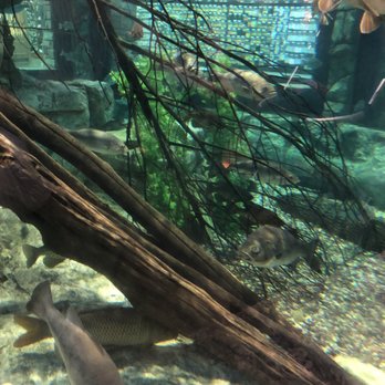 BASS PRO SHOPS - Updated October 2025 - 118 Photos & 95 Reviews - 6112 ...