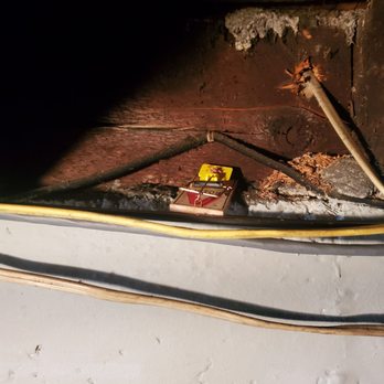 BIGGINS EXTERMINATING COMPANY - Updated October 2025 - 58 Photos & 122 ...