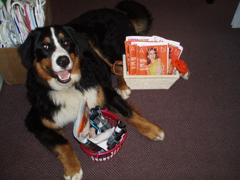 CHRISTINA’S CONSIGNMINT - Updated October 2025 - 18 McDermott Ave ...