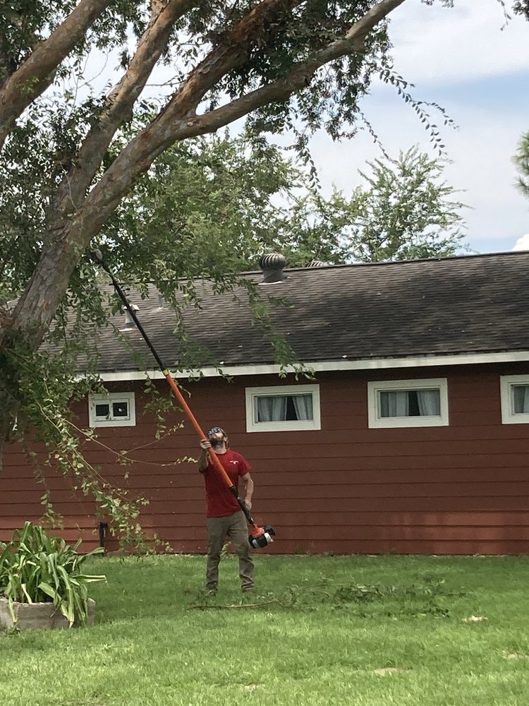 CUT ‘N EDGE TREES - Updated July 2025 - 5311 Whittier Oaks, Friendswood ...