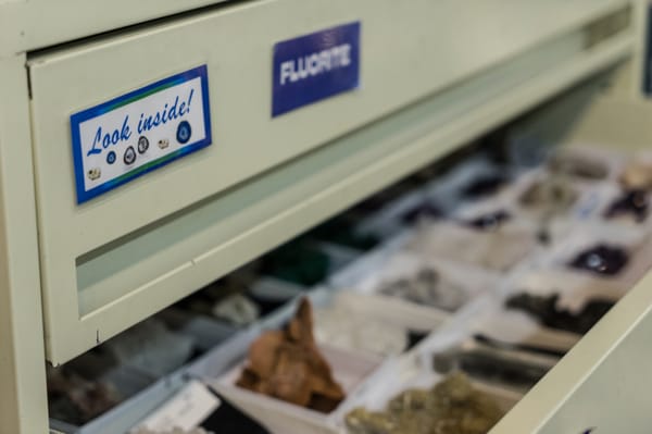 A2Z SCIENCE & LEARNING TOY STORE - Updated October 2025 - 42 Photos ...