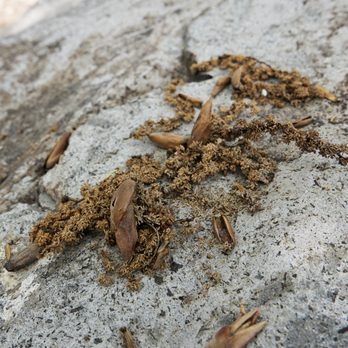 OXBOW NATURE STUDY AREA - Updated December 2025 - 139 Photos & 28 ...