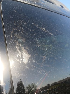 PARAMOUNT RECOVERY - Updated January 2026 - 31 Photos & 37 Reviews ...