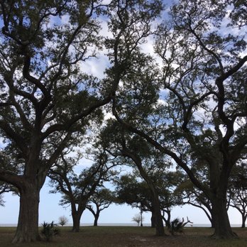 FRIENDSHIP OAK AT THE UNIVERSITY OF SOUTHERN MISSISSIPPI - Updated ...