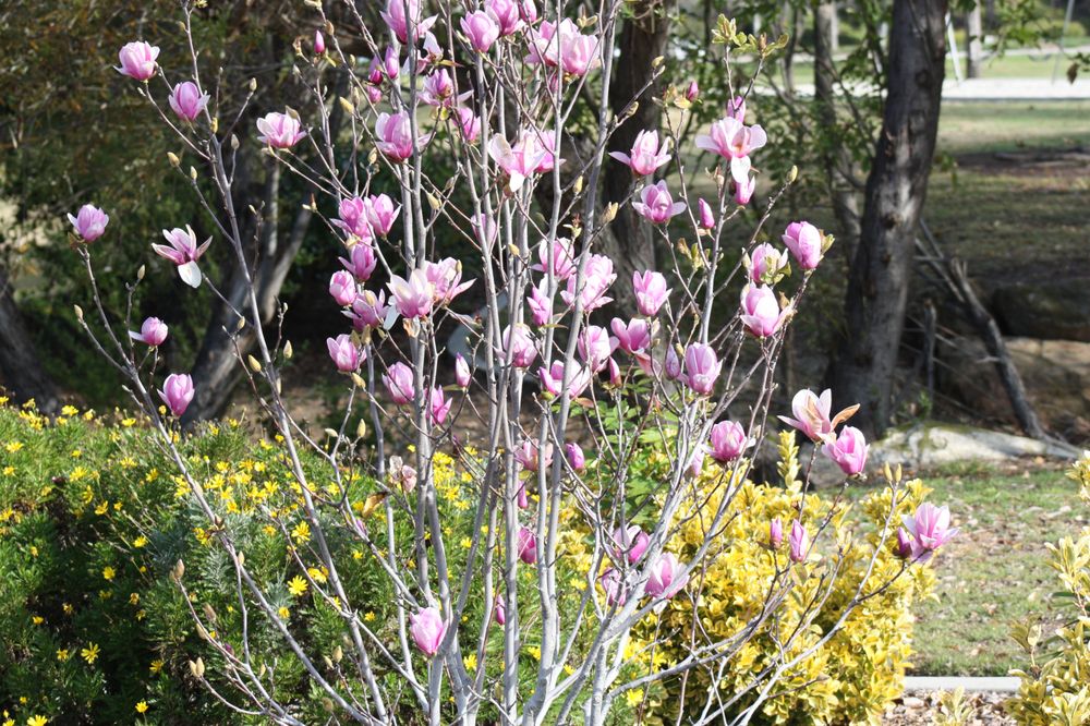 SPRING MEADOW PARK - Updated August 2025 - 13 Photos - 3283 Spring ...