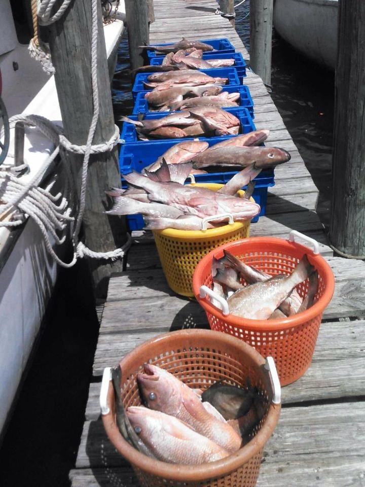 ISLAND SEAFOOD MARKET - Updated December 2025 - 12 Reviews - 4330 Pine ...