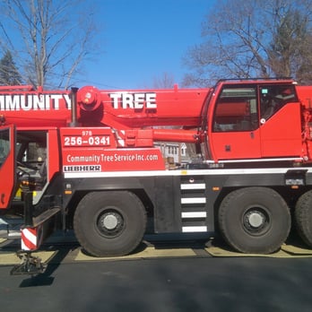 COMMUNITY TREE SERVICE - Updated September 2025 - 13 Photos & 19 ...