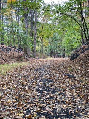 DEPEW PARK & POOL - Updated September 2025 - 20 Photos - 363 Union Ave ...