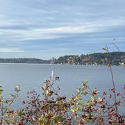 HYATT REGENCY - Updated September 2025 - 786 Photos & 251 Reviews ...